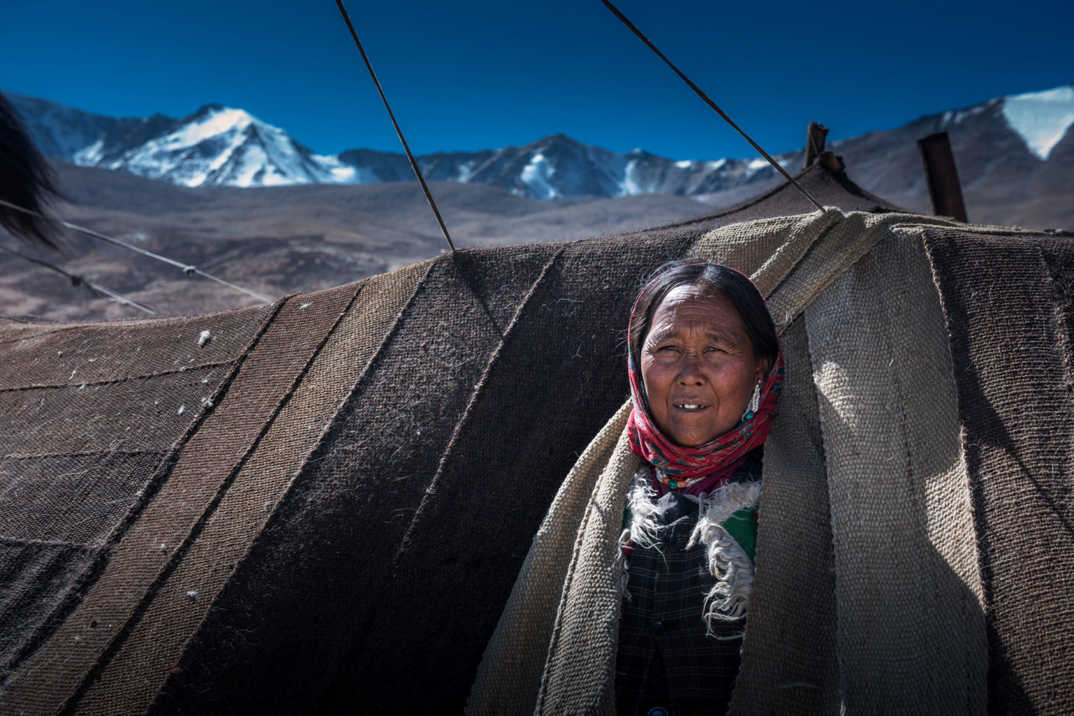 Life of Changpa Nomads | Manish Lakhani